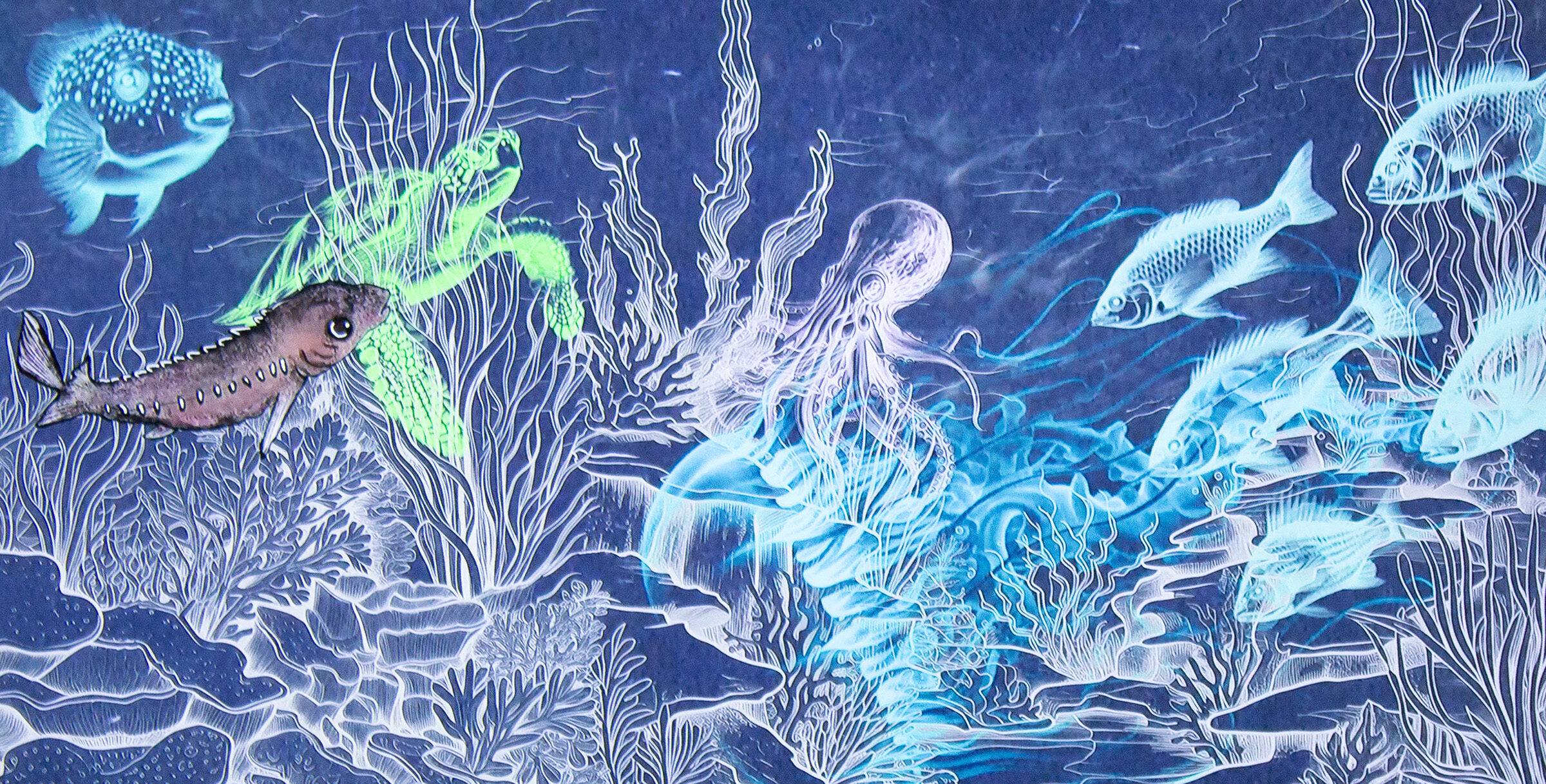 Abstract ideas feature SU’s computer art program