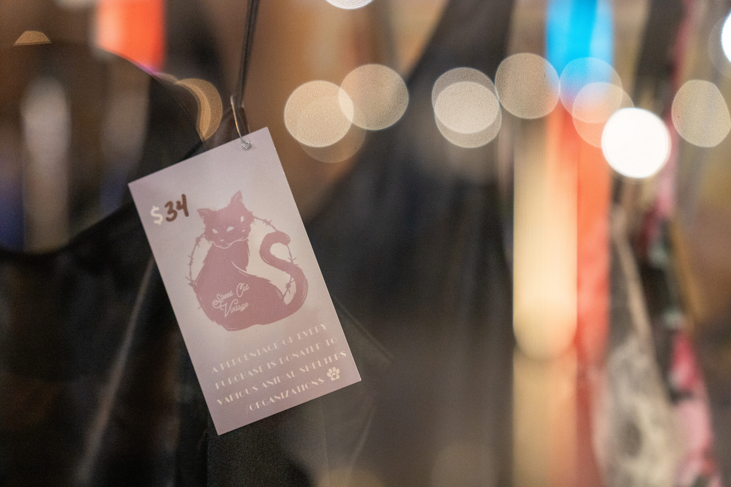 Fragile Cat revamps Syracuse vintage with workwear, 2000s finds